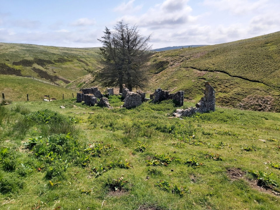 Walk Up Yearning Law, Border Ridge To Windy Gyle In The Cheviots ...