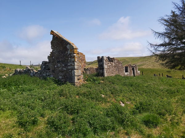 Walk Up Yearning Law, Border Ridge To Windy Gyle In The Cheviots ...