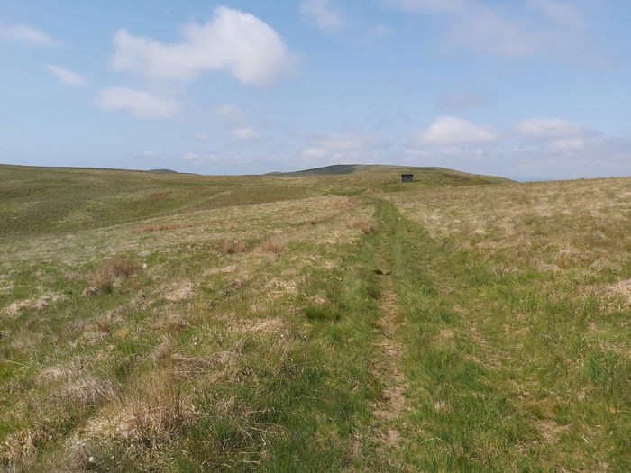 Walk Up Yearning Law, Border Ridge To Windy Gyle In The Cheviots ...