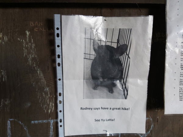 Walk Up Yearning Law, Border Ridge To Windy Gyle In The Cheviots ...