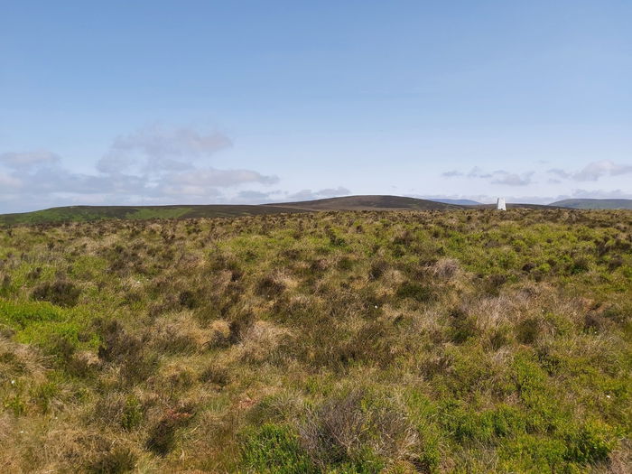 Walk Up Yearning Law, Border Ridge To Windy Gyle In The Cheviots - Fabulous North