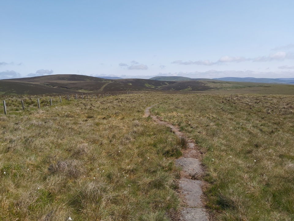 Walk Up Yearning Law, Border Ridge To Windy Gyle In The Cheviots ...