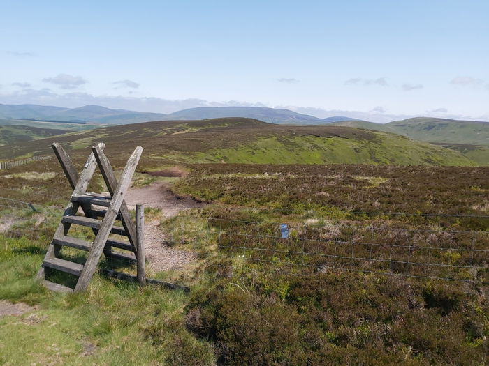 Walk Up Yearning Law, Border Ridge To Windy Gyle In The Cheviots ...