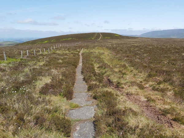 Walk Up Yearning Law, Border Ridge To Windy Gyle In The Cheviots ...