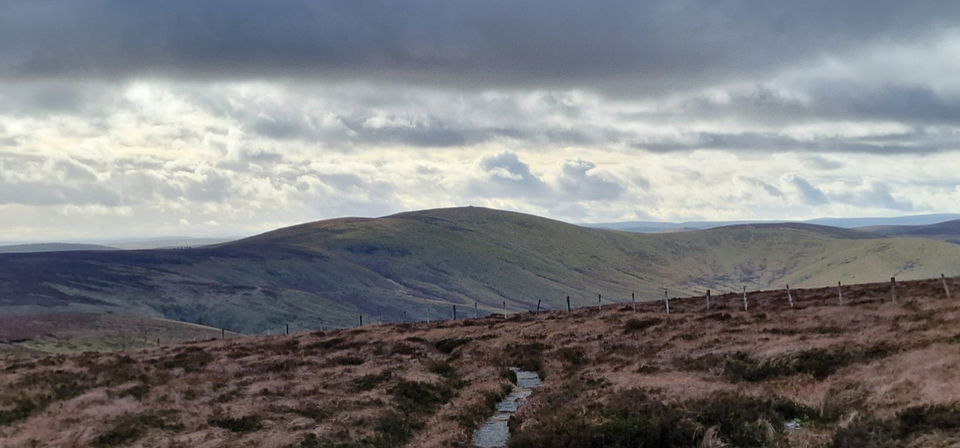 Walk To Windy Gyle And The Cheviot Summit From Cocklawfoot - Fabulous North