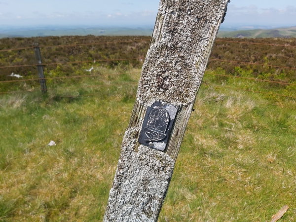 Walk Up Yearning Law, Border Ridge To Windy Gyle In The Cheviots ...