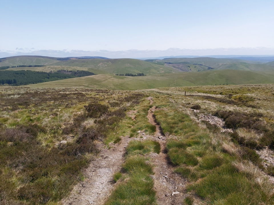 Walk Up Yearning Law, Border Ridge To Windy Gyle In The Cheviots ...