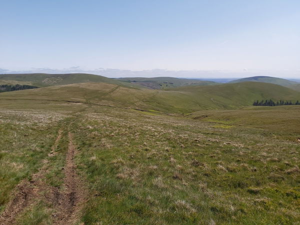Walk Up Yearning Law, Border Ridge To Windy Gyle In The Cheviots ...