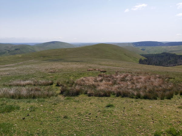 Walk Up Yearning Law, Border Ridge To Windy Gyle In The Cheviots ...