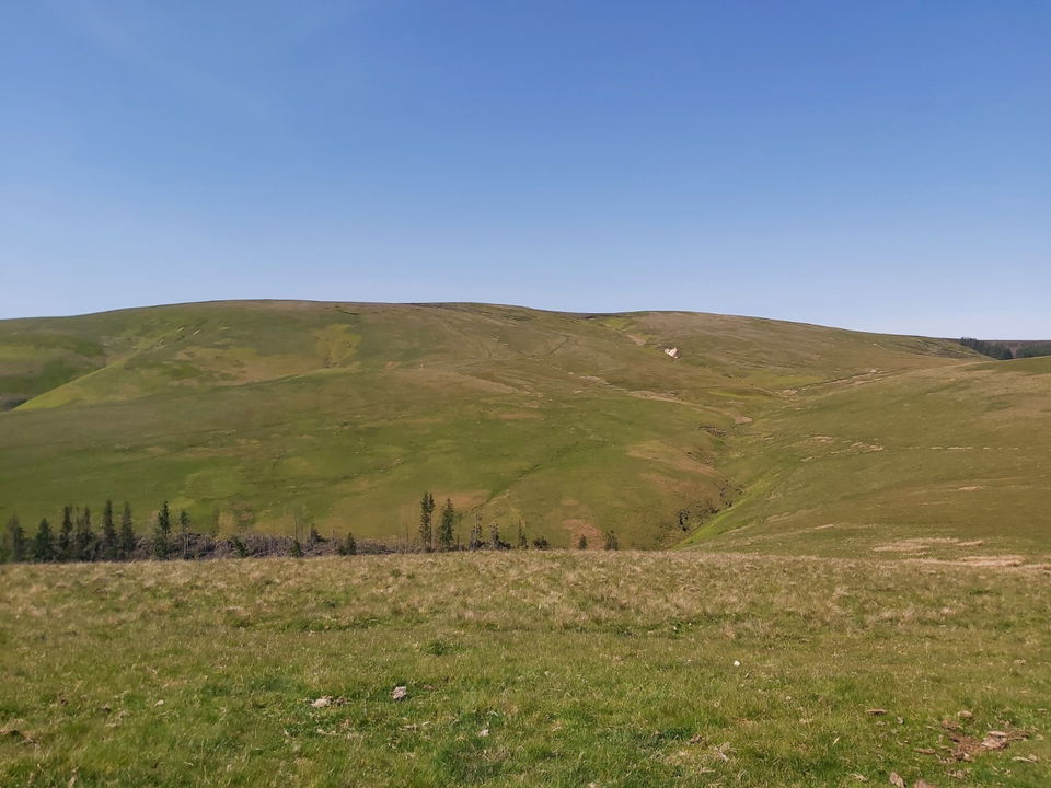 Walk Up Yearning Law, Border Ridge To Windy Gyle In The Cheviots ...