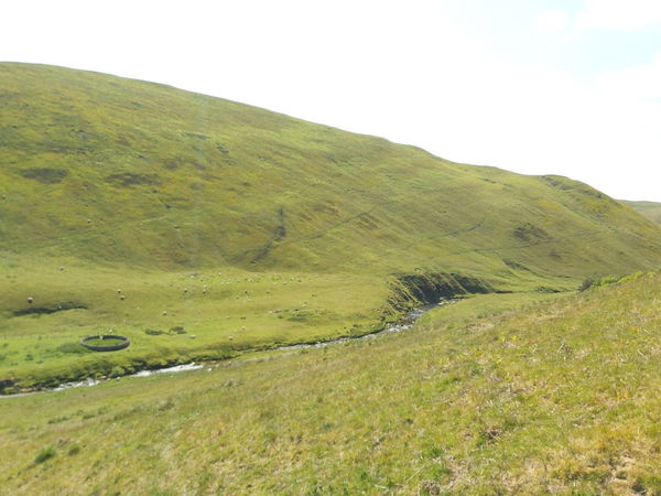 Walk Up Yearning Law, Border Ridge To Windy Gyle In The Cheviots ...