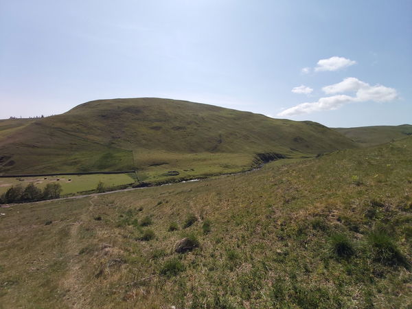 Walk Up Yearning Law, Border Ridge To Windy Gyle In The Cheviots ...