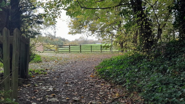 Walk Around 4 Hillocks In Houghall and Elvet In Durham