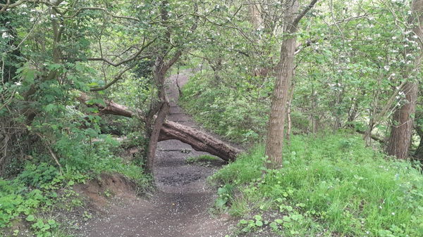 Walk Around 4 Hillocks In Houghall and Elvet In Durham