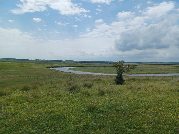 Walk From Beadnell Bay To Low Newton - Fabulous North