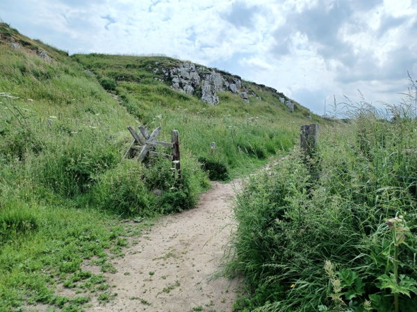 Walk From Beadnell Bay To Low Newton - Fabulous North