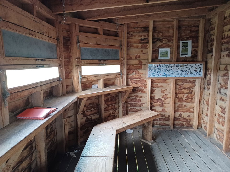 Walk From Beadnell Bay To Low Newton - Fabulous North