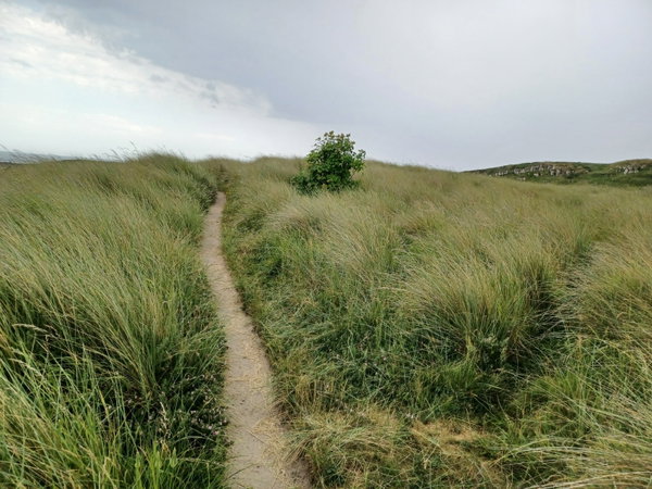 Walk From Beadnell Bay To Low Newton - Fabulous North