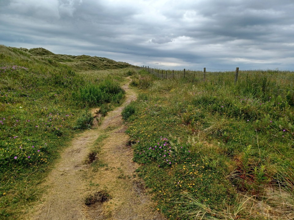 Walk From Beadnell Bay To Low Newton - Fabulous North