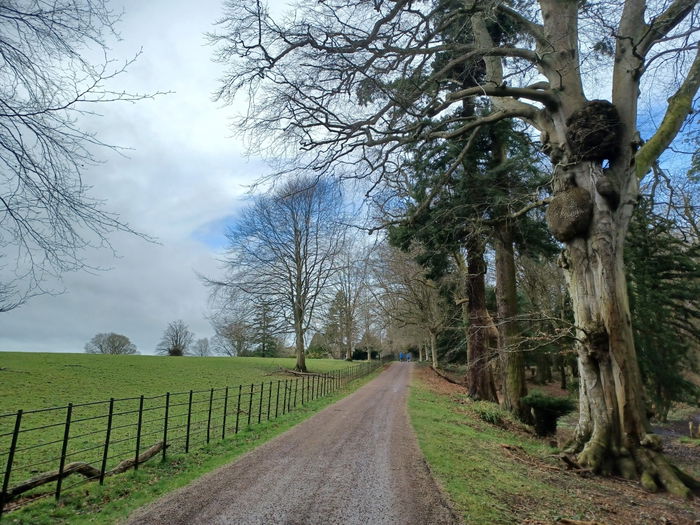 Walk Around Wallington House And Gardens Near Morpeth - Fabulous North