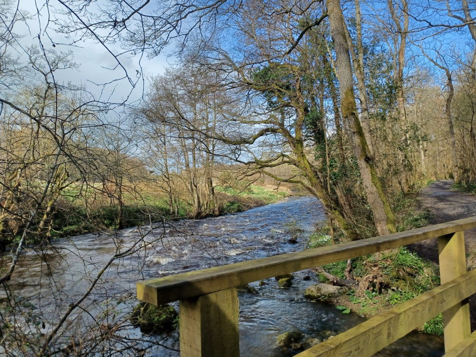Walk Around Allensford Park In Consett - Fabulous North