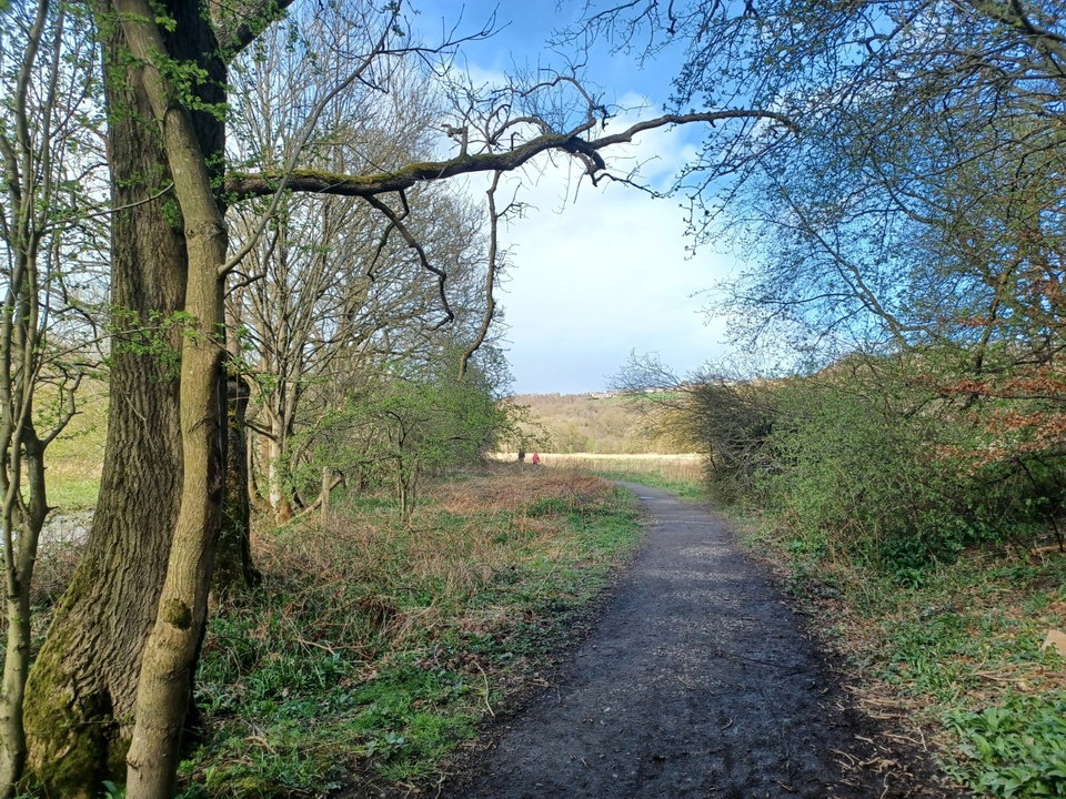 Walk Around Allensford Park In Consett - Fabulous North
