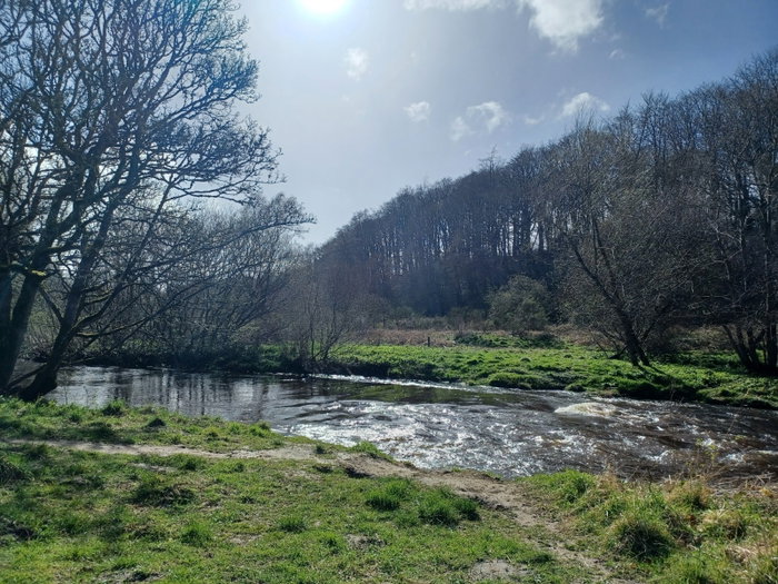 Walk Around Allensford Park In Consett - Fabulous North