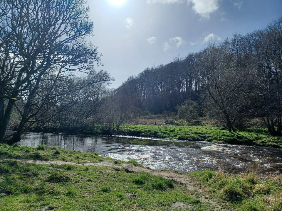 Walk Around Allensford Park In Consett - Fabulous North