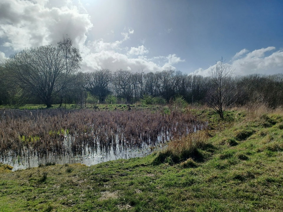 Walk Around Allensford Park In Consett - Fabulous North