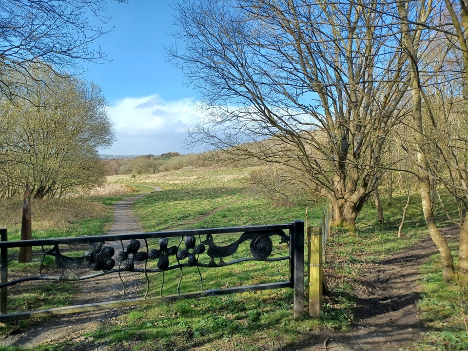 Walk Around Allensford Park In Consett - Fabulous North