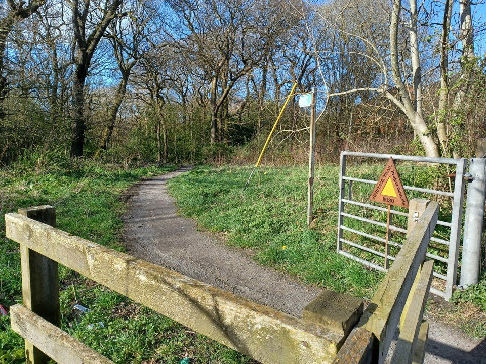 Walk Around Allensford Park In Consett - Fabulous North