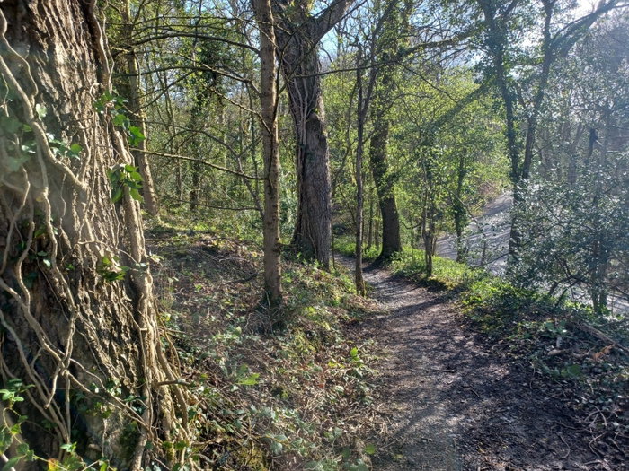Walk Around Allensford Park In Consett - Fabulous North
