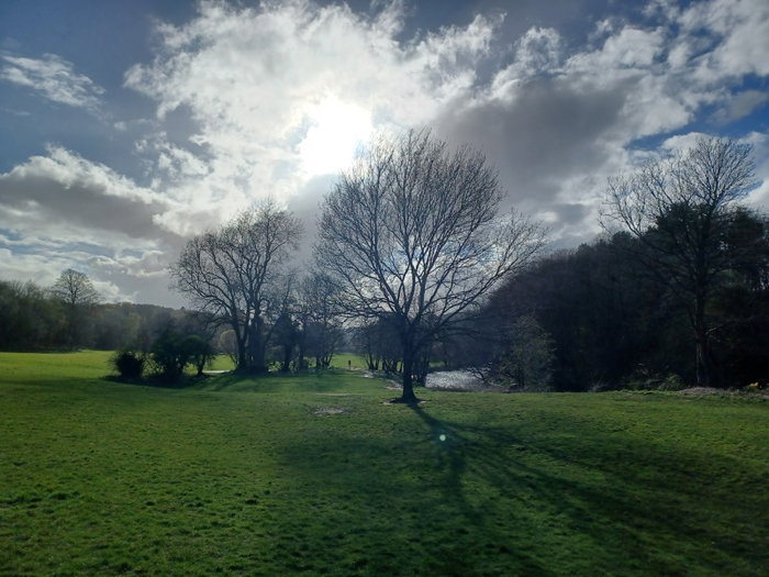 Walk Around Allensford Park In Consett - Fabulous North