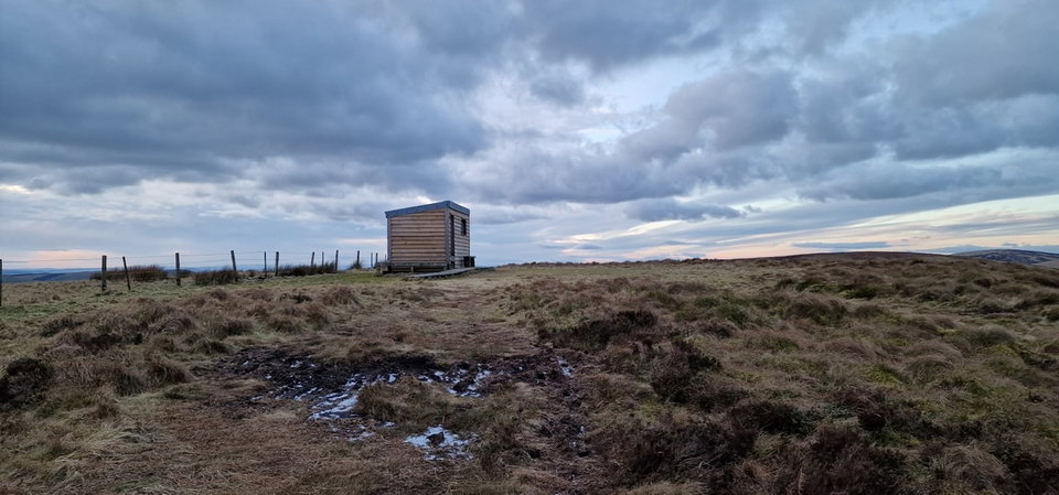 Walk To Windy Gyle And The Cheviot Summit From Cocklawfoot - Fabulous North