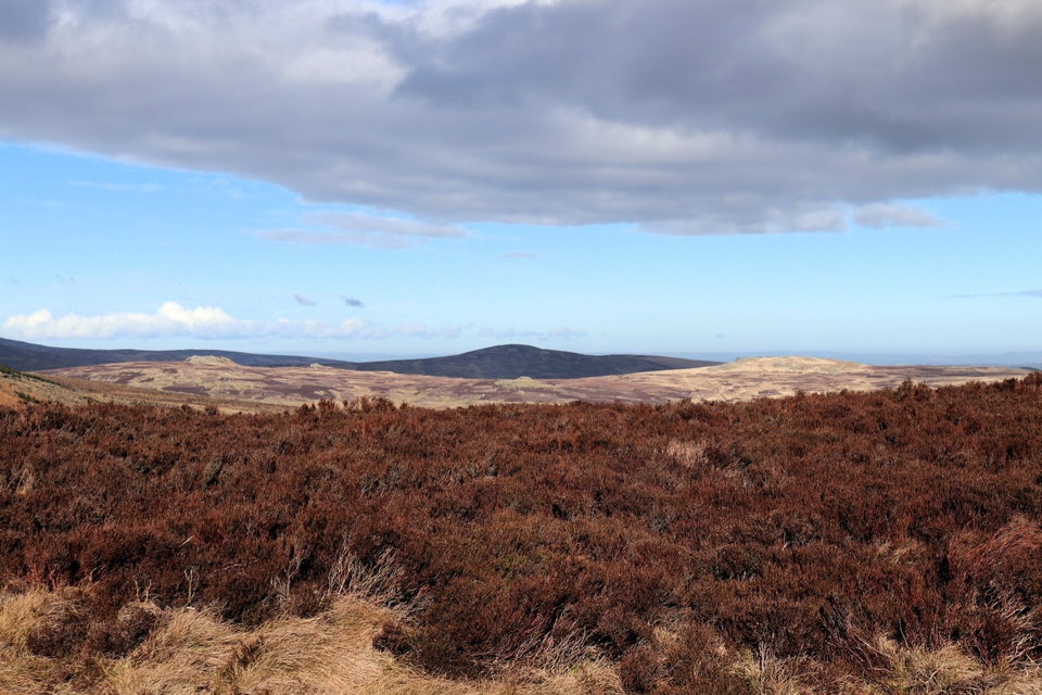 Walk To Cunyan Crags, Langleeford Crags, Hedgehope And Great Standrop ...