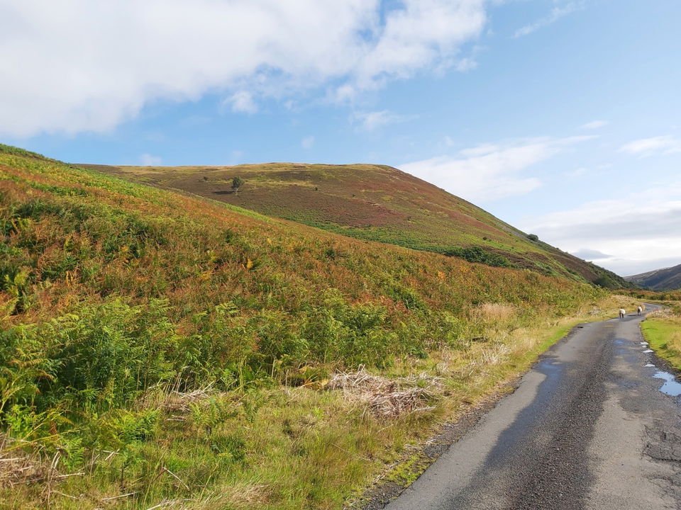 Walk Up Cold Law, Great Moor, Coldburn Hill In The Cheviots - Fabulous ...