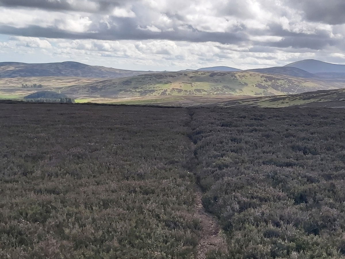 Yeavering Bell And Newton Tors In The Cheviots - Fabulous North