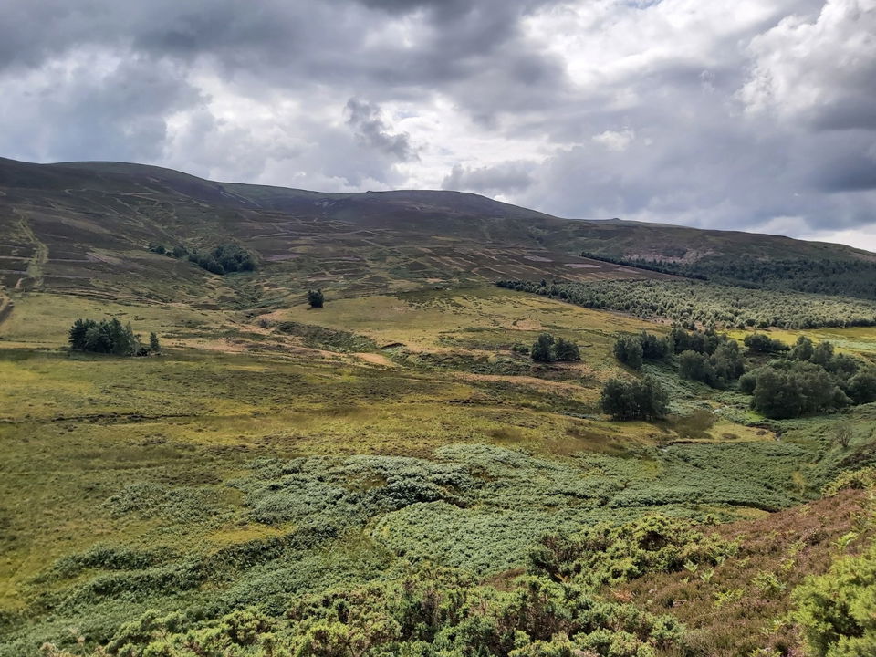 Walk Up Cold Law, Great Moor, Coldburn Hill In The Cheviots - Fabulous ...