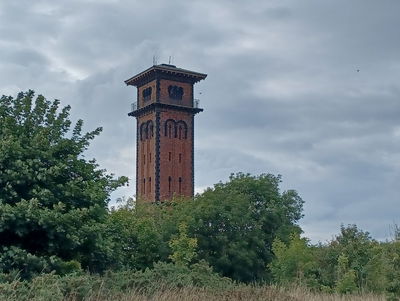 Marsden Quarry Nature Reserve and Cleadon Hills In South Shields ...