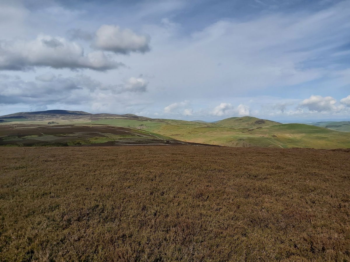 Yeavering Bell And Newton Tors In The Cheviots - Fabulous North