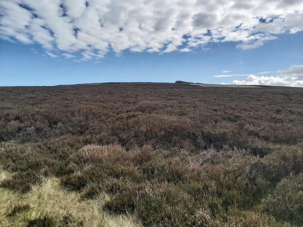 Yeavering Bell And Newton Tors In The Cheviots - Fabulous North