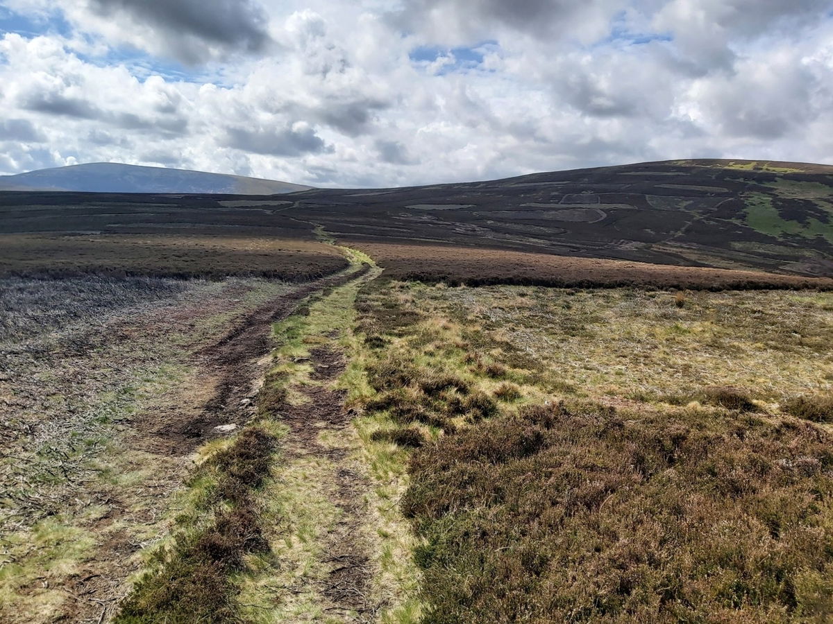 Yeavering Bell And Newton Tors In The Cheviots - Fabulous North
