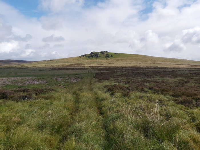 Walk Up Cold Law, Great Moor, Coldburn Hill In The Cheviots - Fabulous ...