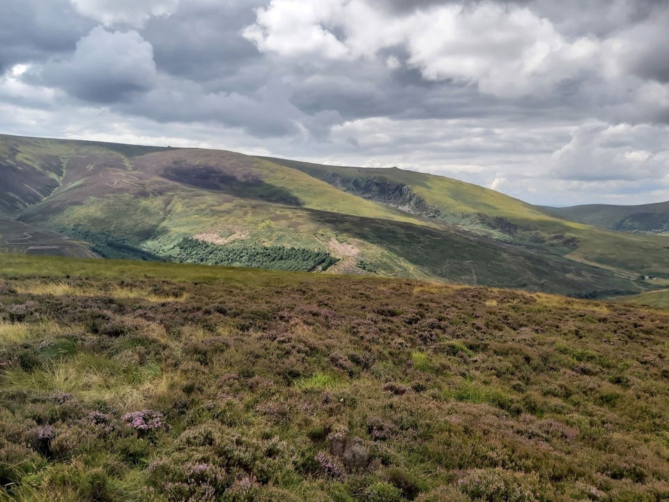 Walk Up Cold Law, Great Moor, Coldburn Hill In The Cheviots - Fabulous ...
