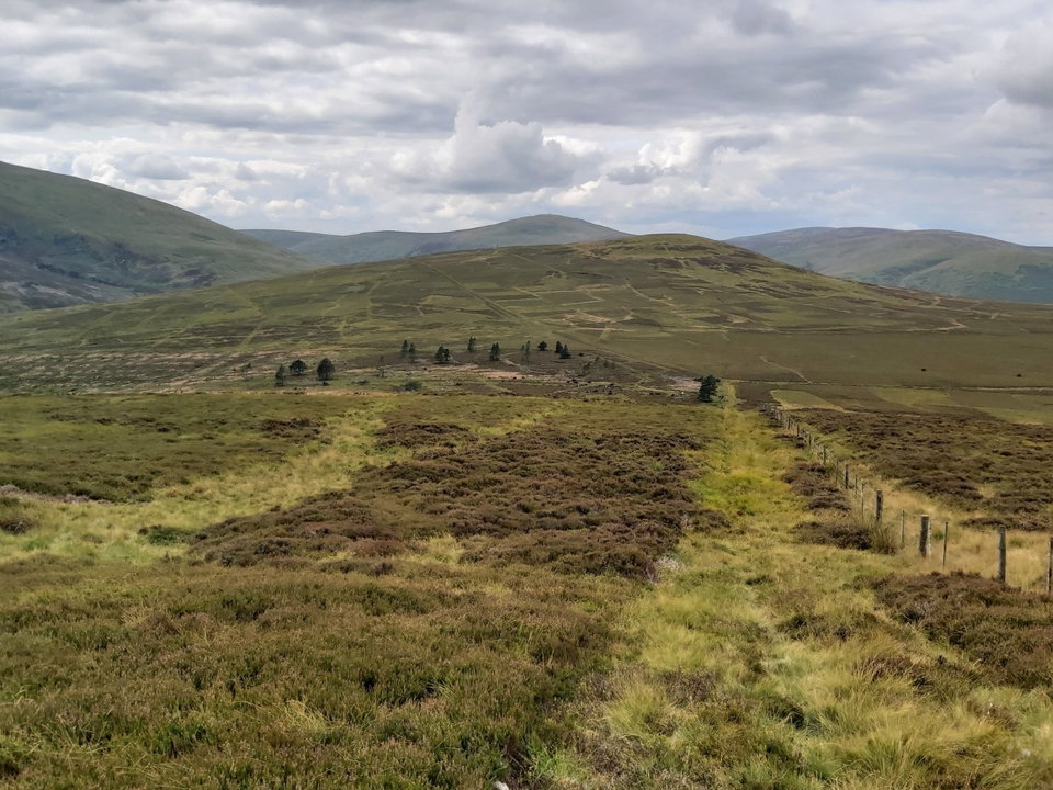 Walk Up Cold Law, Great Moor, Coldburn Hill In The Cheviots - Fabulous ...