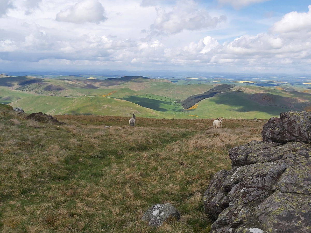 Yeavering Bell And Newton Tors In The Cheviots - Fabulous North