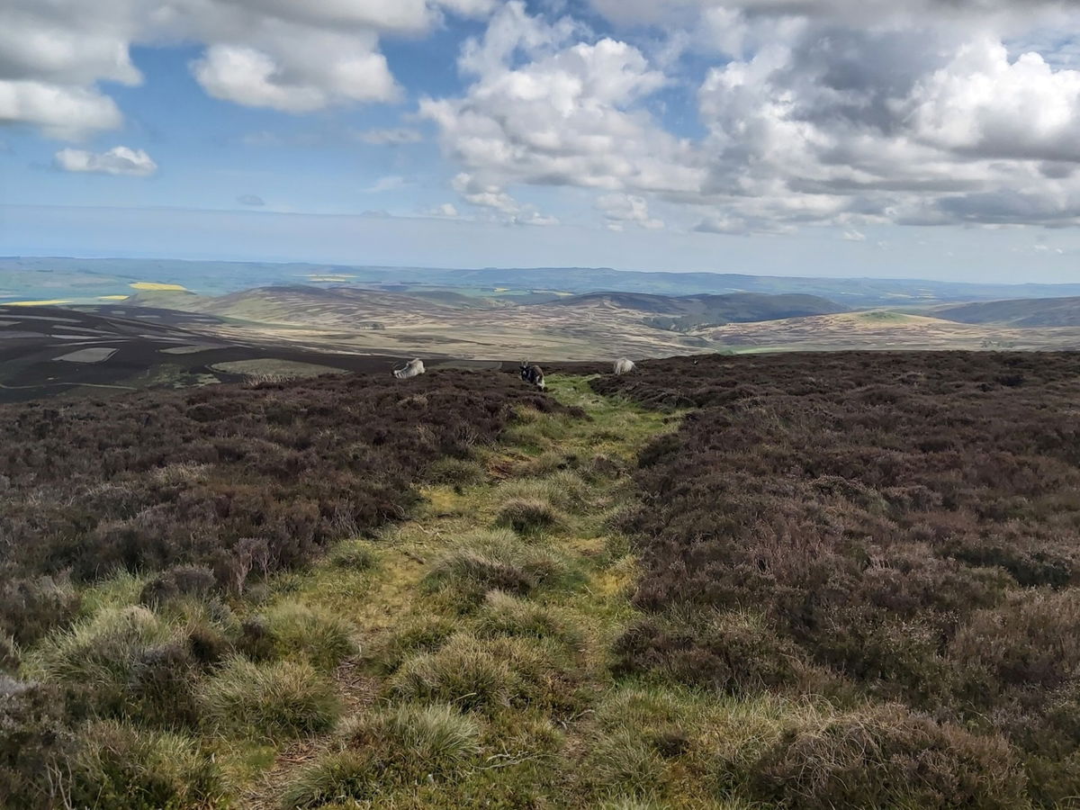 Yeavering Bell And Newton Tors In The Cheviots - Fabulous North