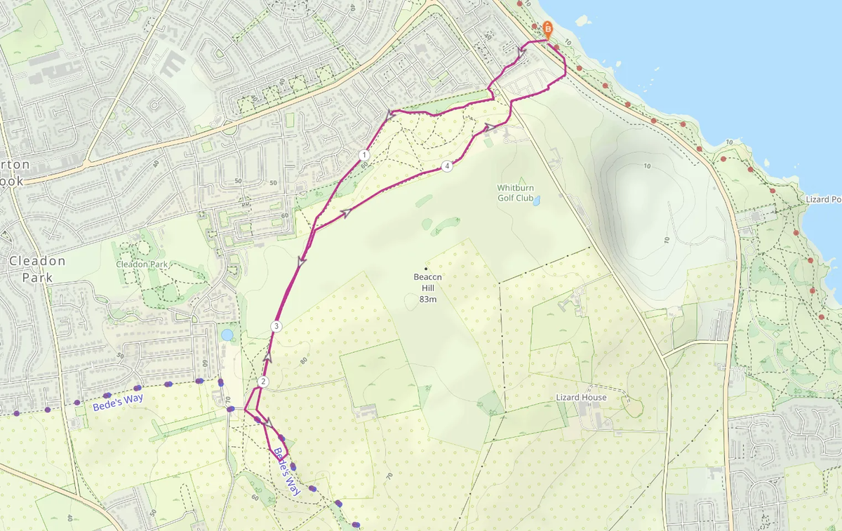 Marsden Quarry Nature Reserve and Cleadon Hills In South Shields ...