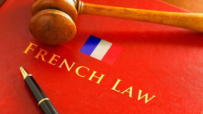 Navigating French Legal Proceedings - France Tax Law