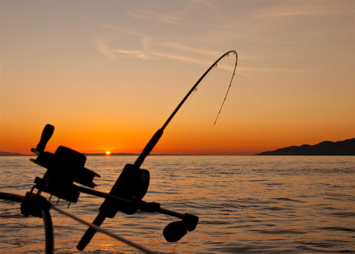 Your Guide To The English Channel Fishing Rights Row - France Tax Law